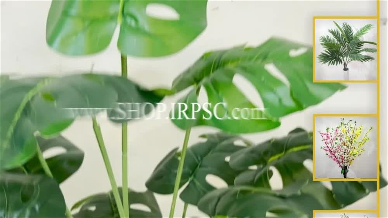 خرید درختچه مصنوعی برگ انجیری سایز 150 سانتیتر 15 برگ لمسی پخش از فروشگاه ملی نماشا